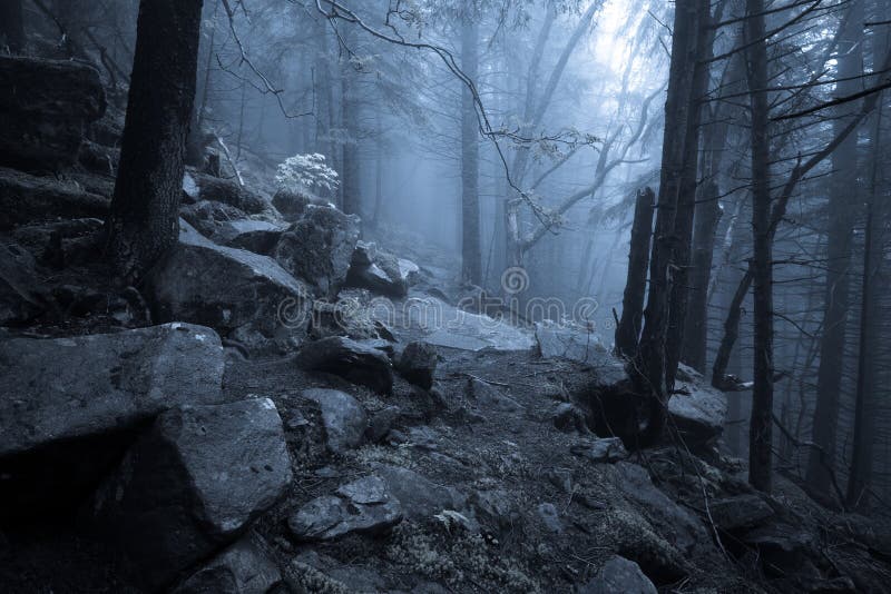 Rocky Path in Green Forest. Appalachian Hiking Trail Stock Photo ...