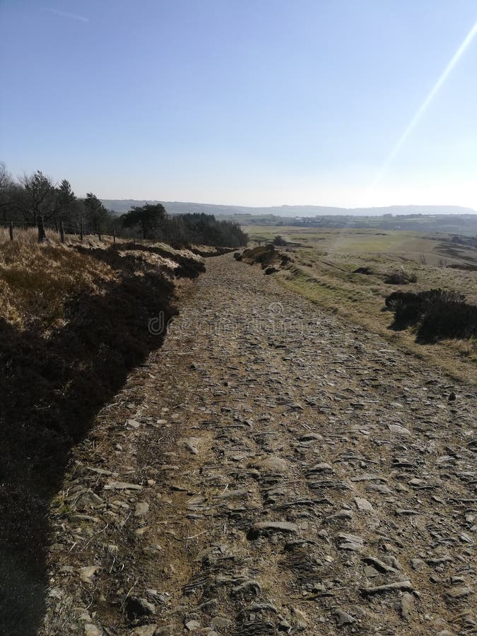 Rocky Path Over Forest Ogden Water Stock Image - Image of water, rock ...