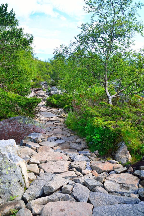 Rocky Path through Some Shrubs Stock Photo - Image of beautiful ...