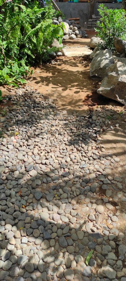 Rocky Path with Trees on Either Side, Photographed during the Day Stock ...