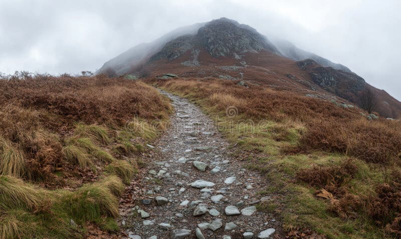 A Rocky Path Winds Its Way Up a Hill Stock Image - Image of view ...