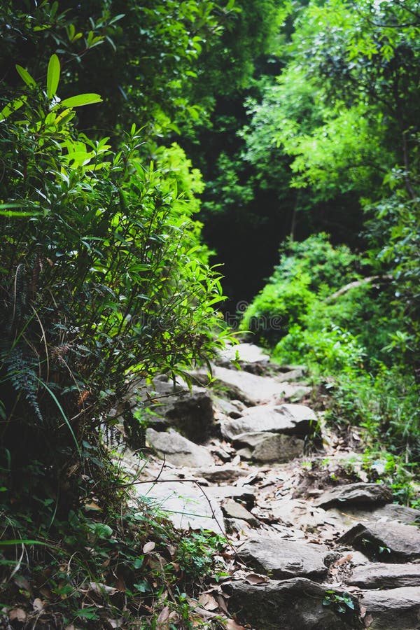 Rocky Paths stock photo. Image of bhagsunag, paths, second - 113484790