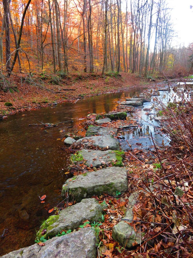 Rocky Pathway through a Stream in Autumn Stock Image - Image of nature ...
