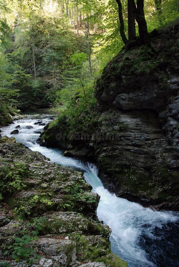 Rocky rapids stock photo. Image of european, creek, europe - 59524706