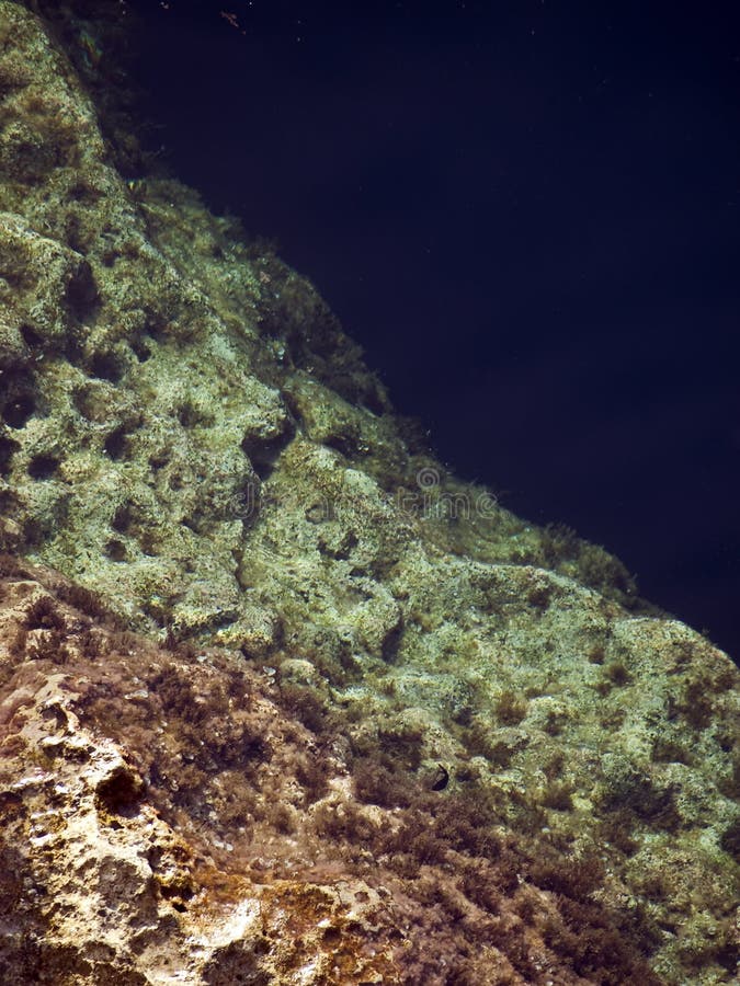 Rocky Reef stock photo. Image of malta, scuba, reef, sandstone - 10486750