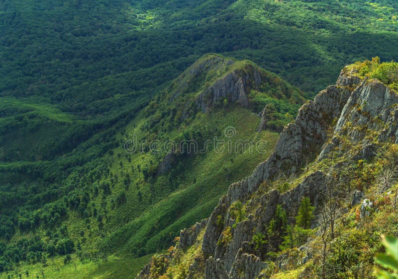 A Rocky Ridge Rises in the Forest. Stock Photo - Image of terrain ...