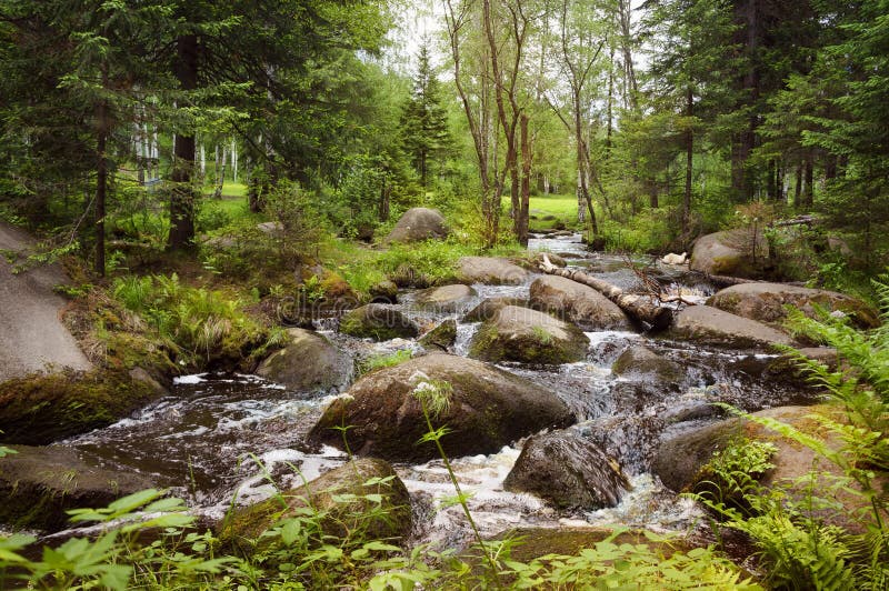 Rocky river stock photo. Image of outdoor, brook, nature - 55586830