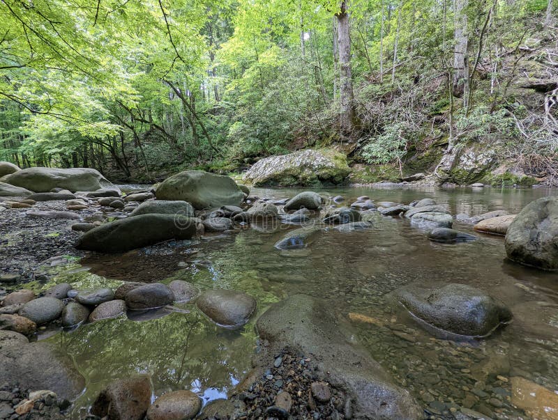 Rocky river in a forest stock image. Image of autumn - 264709867