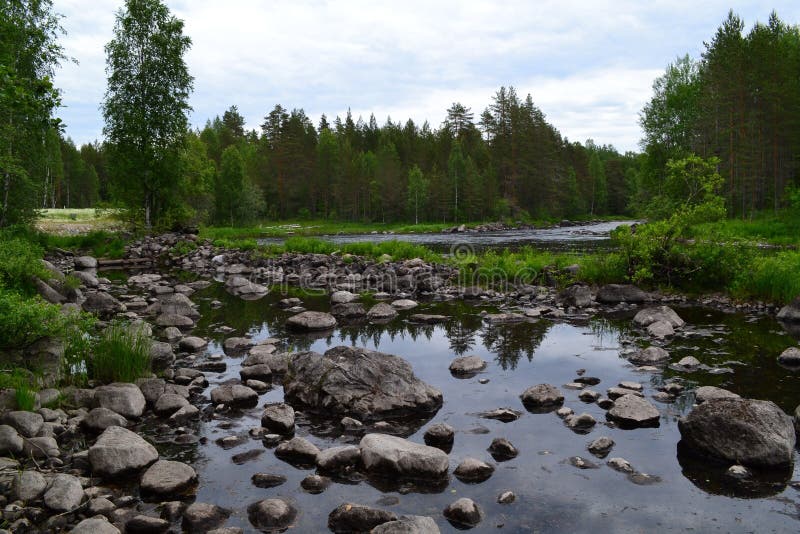 Rocky River in the Middle of the Forest Stock Photo - Image of middle ...
