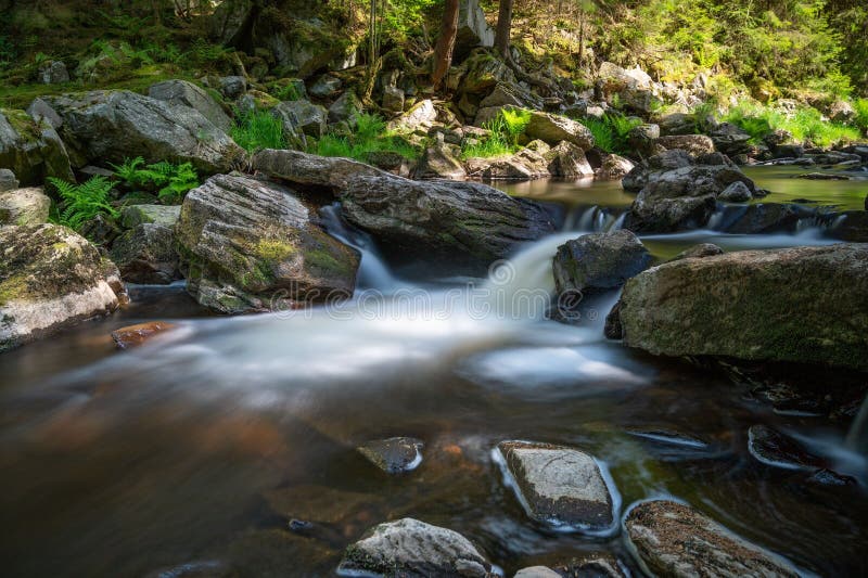 Rocky River Surrounded by Grass in Forest Stock Photo - Image of ...