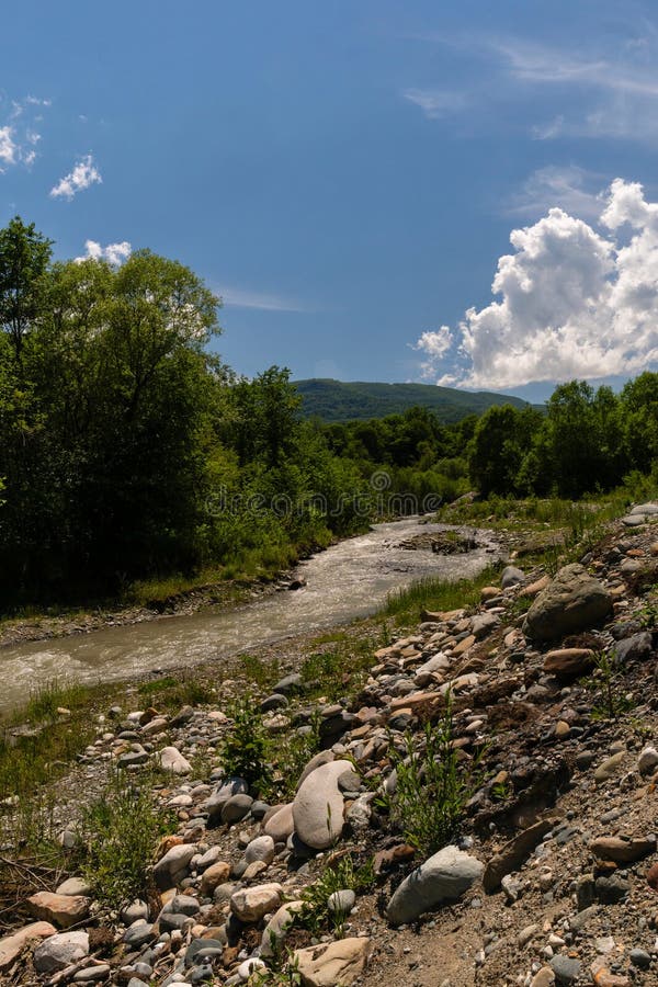 Riverbank with Flowing Stream, Surrounded by Lush Greenery and Distant ...