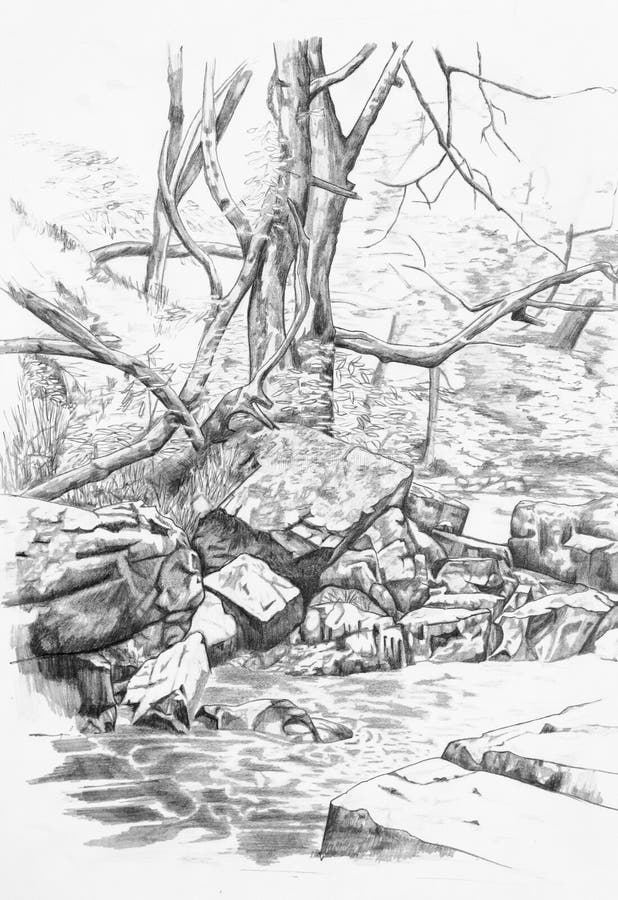 River Bank Pencil Illustration Stock Illustration - Illustration of ...