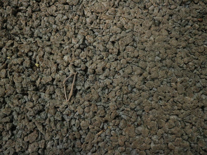 Rocky Road Texture Tree Branches Stock Photos - Free & Royalty-Free ...