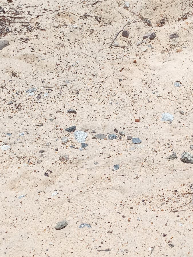 Rocky Sand Bar stock photo. Image of beautiful, serene - 16445340