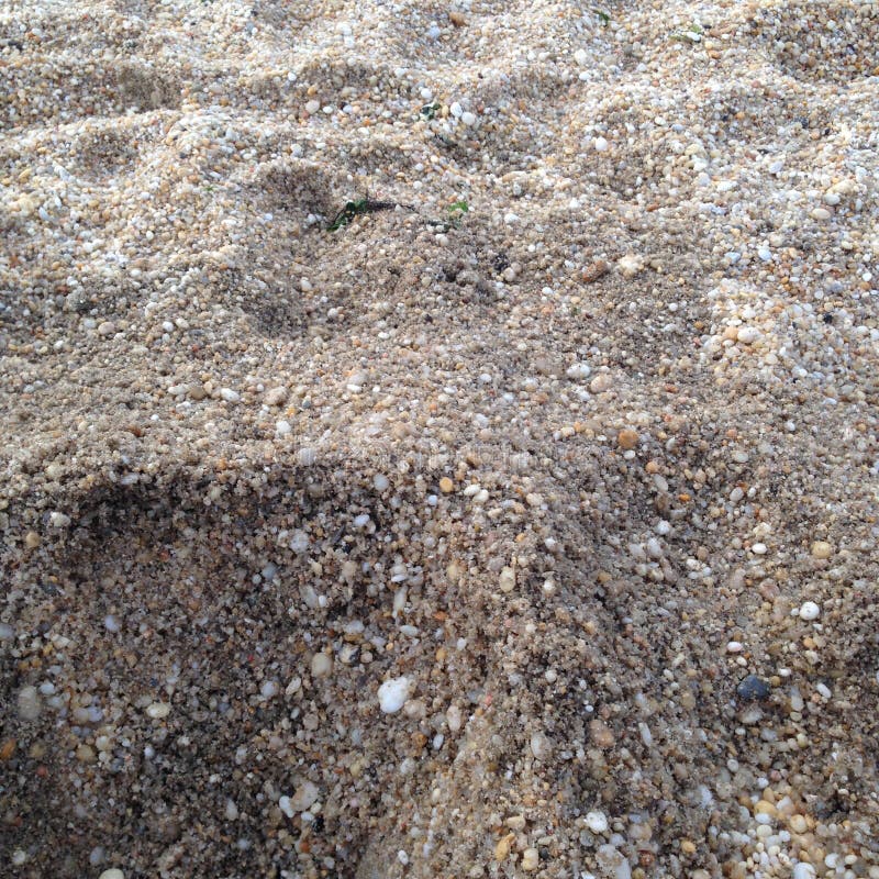 Rocky Sand stock photo. Image of beach, rock, capemay - 48510302