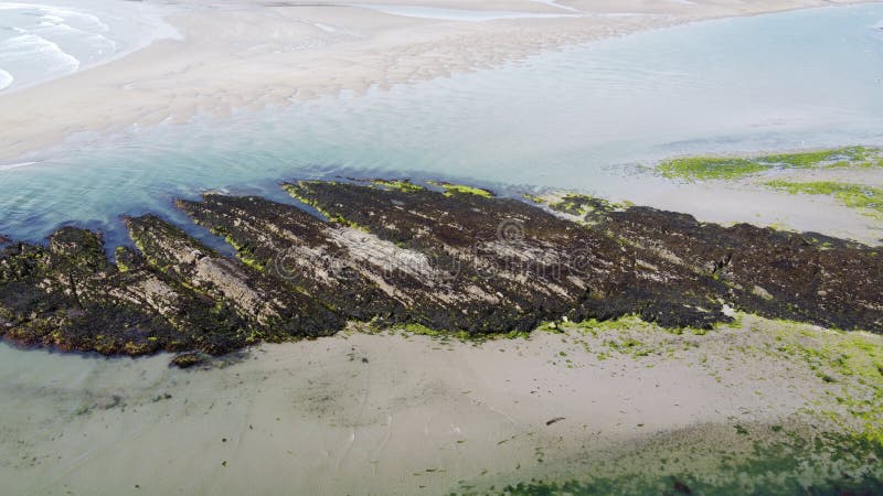 Rocky Seabed at Low Tide, Top View. a Stone Covered with Algae Stock ...