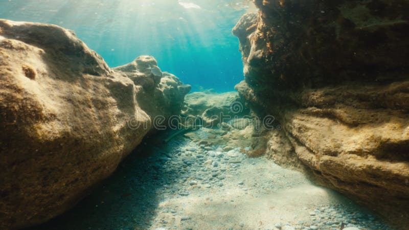 Rocky Seabed Under the Ocean Stock Video - Video of seafloor, water ...