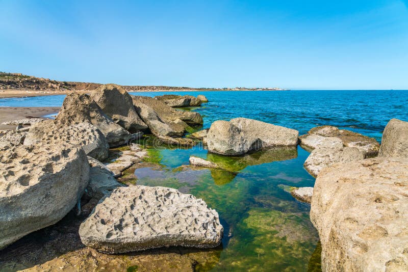 Rocky Seashore Covered with Green Algae and Clear Blue Water Stock ...