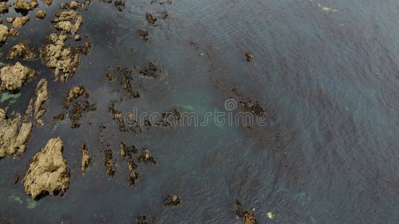 Rocky Seashore, Top View. Big Rocks, Water Stock Image - Image of ...