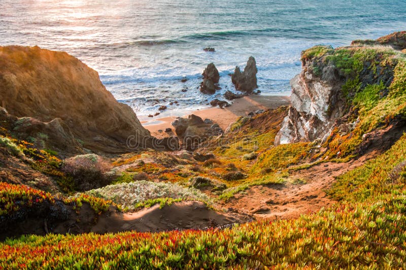 Rocky Shore in the California Bay Area during Daytime Stock Photo ...