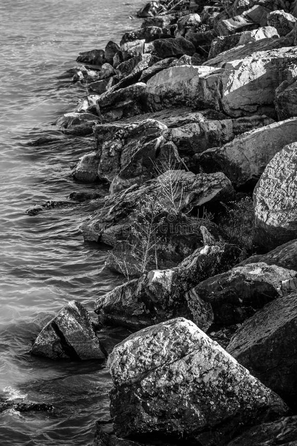 Rocky Shore stock image. Image of contrast, shore, white - 48473109