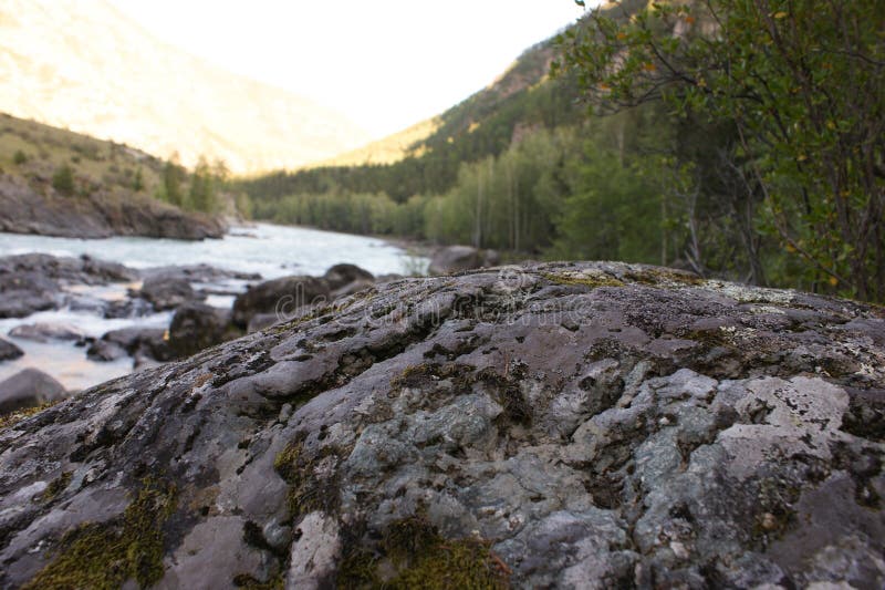Rocky shore stock photo. Image of moss, rocky, river - 41420458
