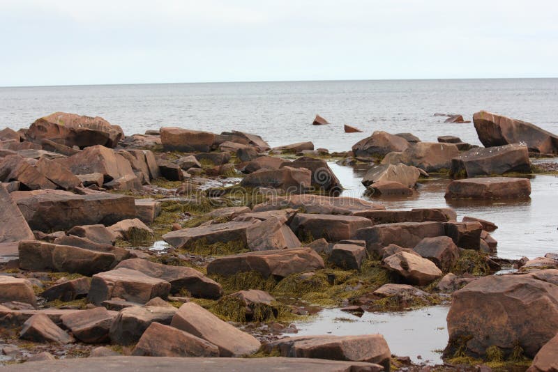 Rocky shore. stock photo. Image of algae, rocks, shore - 78738180