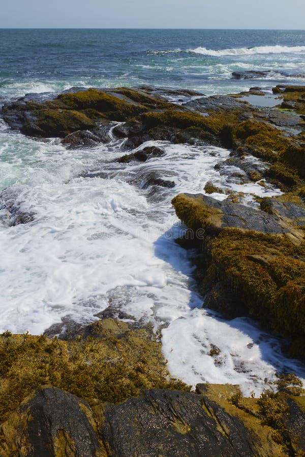 Rocky shore. stock image. Image of landscape, beautiful - 55238871
