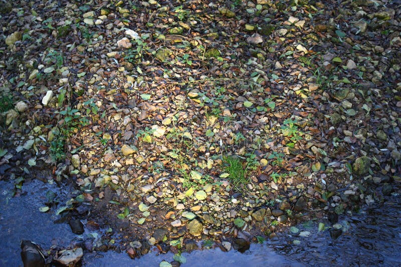 Rocky Shore Washed by River Water Stock Image - Image of washed, water ...