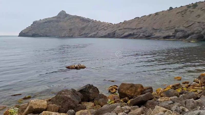 Rocky Shoreline with Calm Sea and Overcast Sky Stock Footage - Video of ...