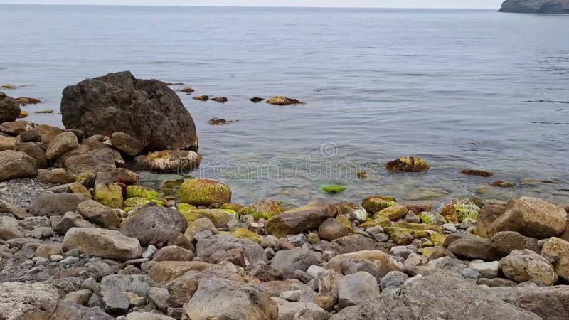 Rocky Shoreline with Calm Sea and Overcast Sky Stock Video - Video of ...