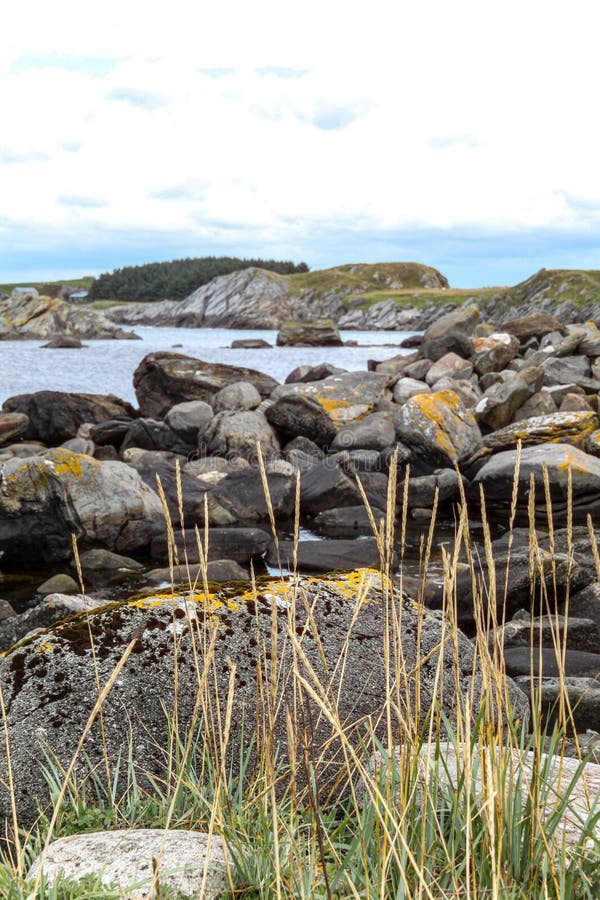 Rocky Shoreline Norway Small Body Water Background Stock Photos - Free ...