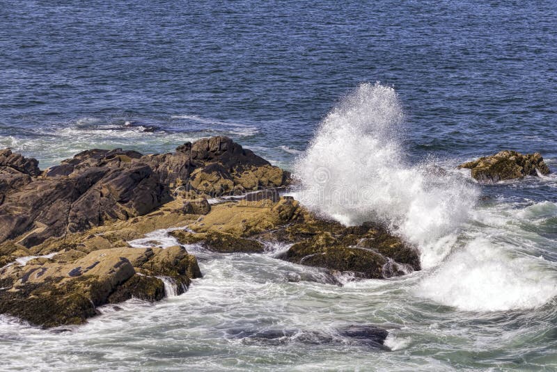 Rocky Shoreline in Ogunquit, Maine Stock Image - Image of tourism ...