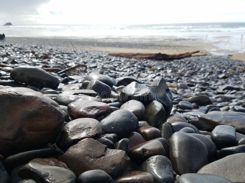 Rocky stony beach stock image. Image of oregon, rocky - 295316285