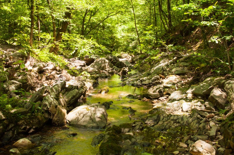 Rocky Stream Flows through the Forest Stock Image - Image of cracked ...