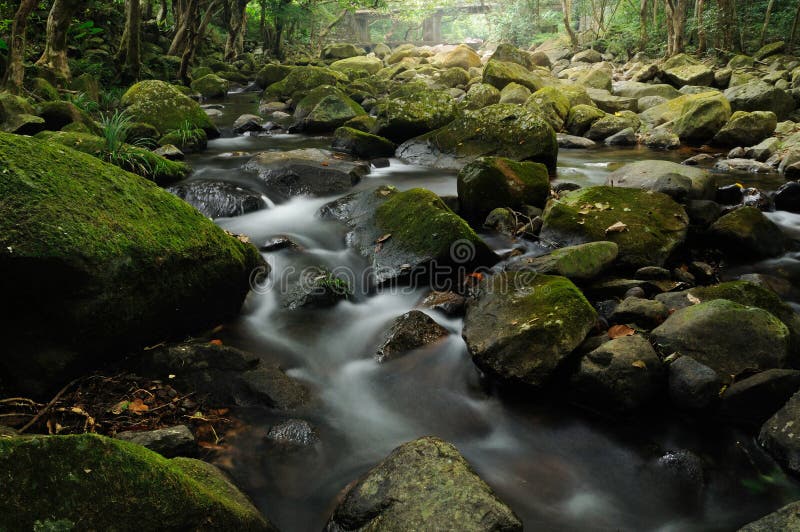Rocky stream stock image. Image of rocky, green, rock - 46704613