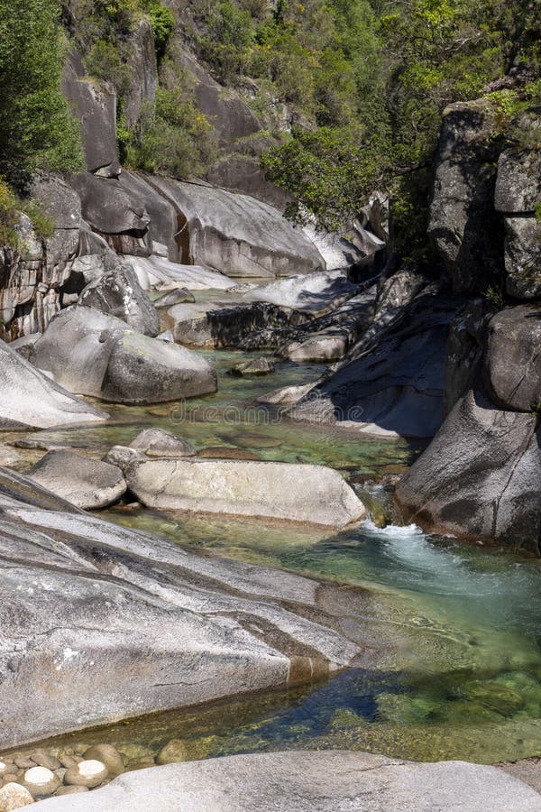 Rocky Streambed with Green Algae Stock Photo - Image of landscape ...