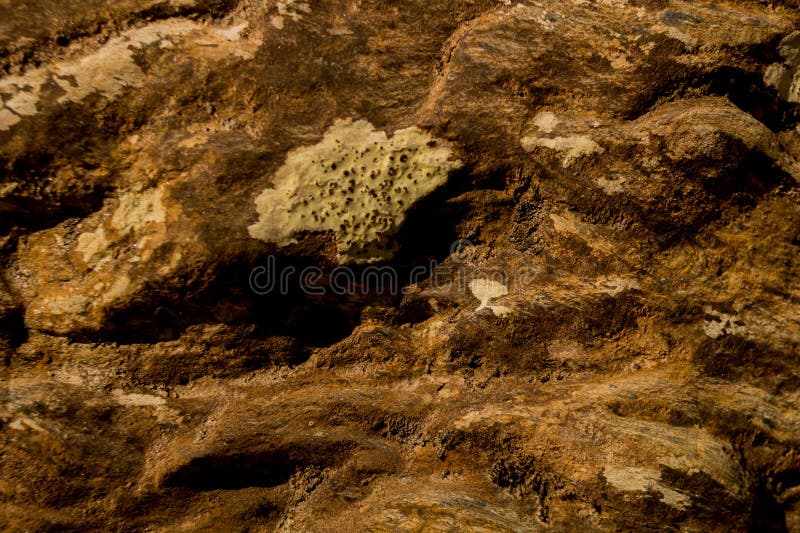 Rocky Texture stock image. Image of sandstone, solid - 276250851