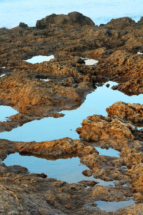 Rocky Tide Pools stock photo. Image of jagged, soil, holes - 13104974