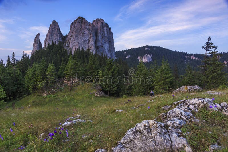 Rocky Towers Foreground Flowers and Forest Editorial Photography ...