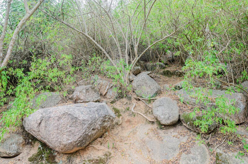Rocky Trail on Chamundi Hills, Mysore, India Stock Photo - Image of ...