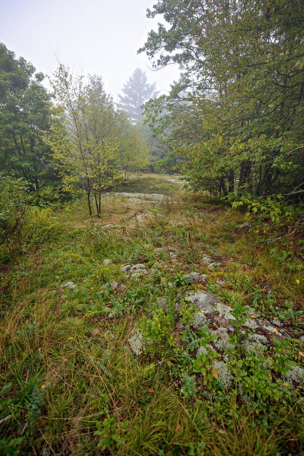 Rocky Trail Leading To Valley Surrounded by High Mountains in Swiss ...