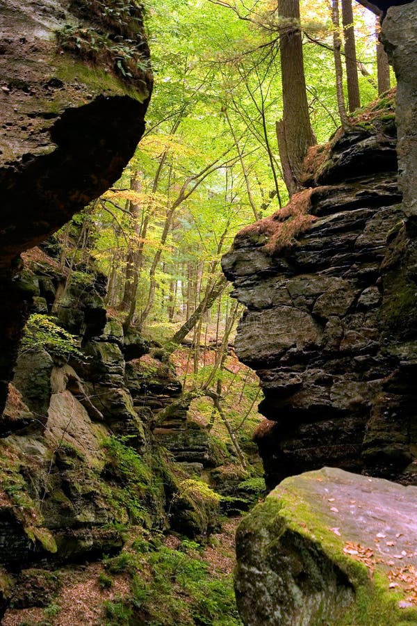 Rocky Valley stock image. Image of forest, gorge, rock - 3439769