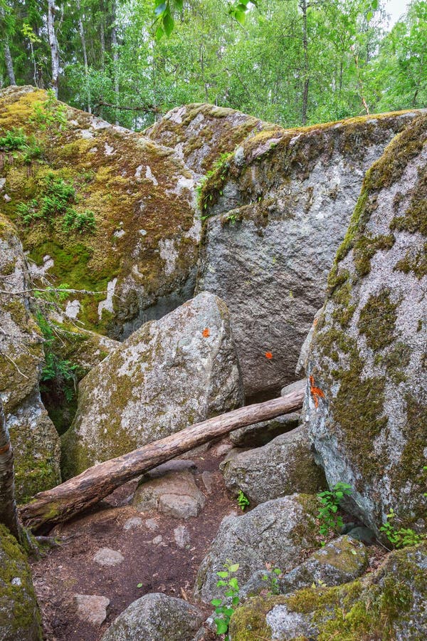 Rocky walking path stock photo. Image of blocks, park - 60615722