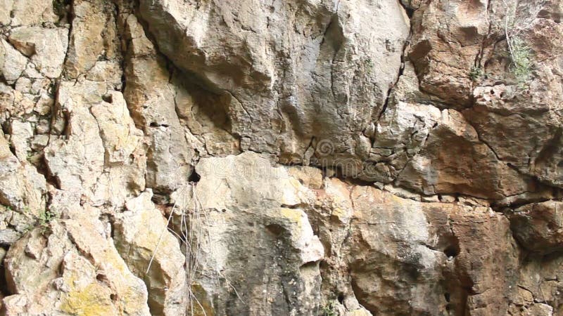 Rocky wall stock video. Video of cliff, details, wall - 45194611