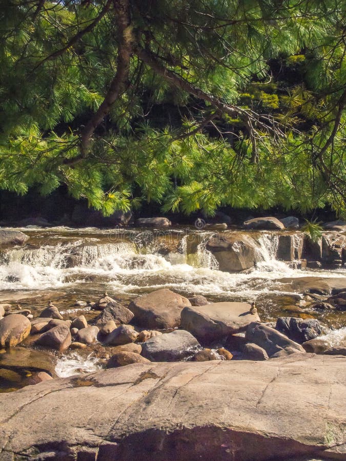 Rocky Waterfall Rapids from Under a Pine Tree Stock Image - Image of ...