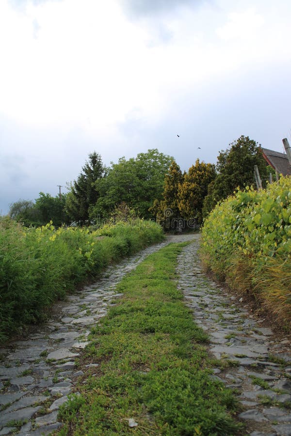 The rocky way stock photo. Image of coast, nature, cavo - 45666548