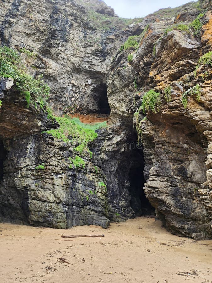 Rocky and Wet Hiking Trail with Mist Stock Photo - Image of wilderness ...