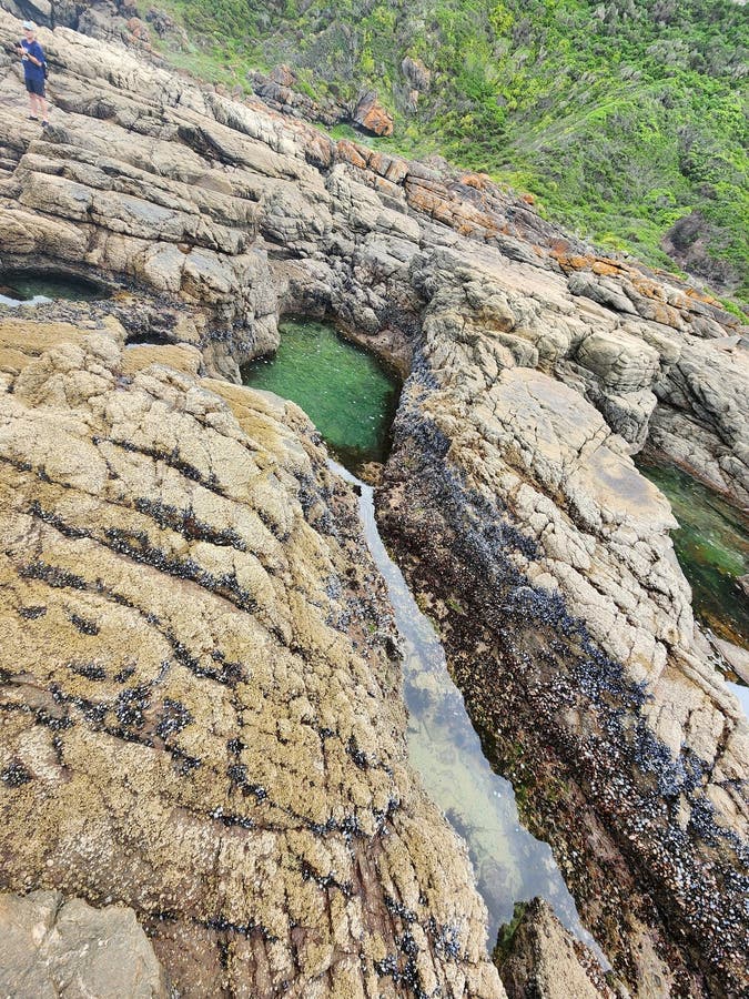 Rocky and Wet Hiking Trail with Mist Stock Photo - Image of hiking ...