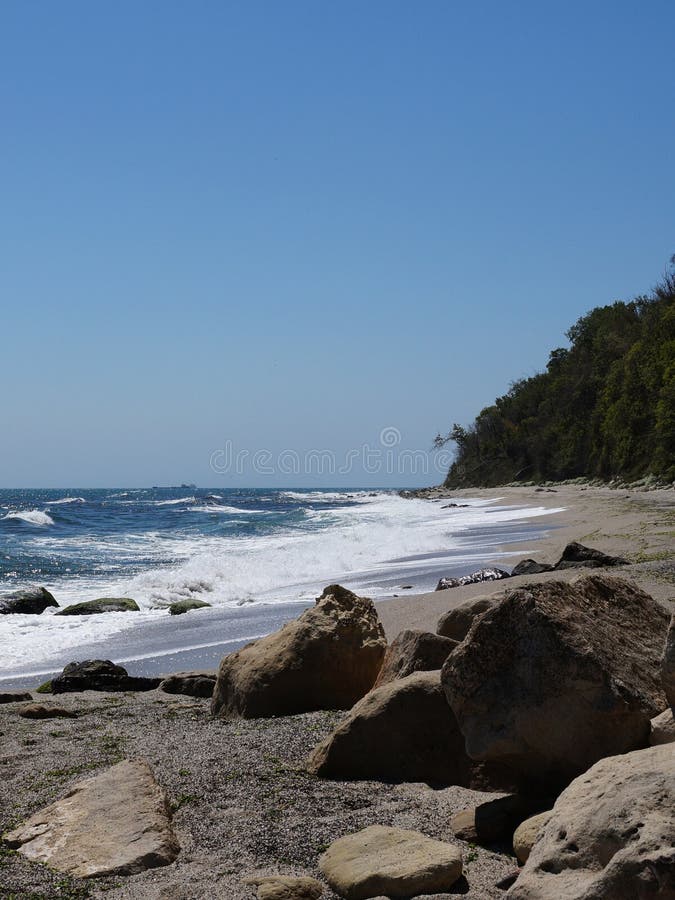 Rocky Wild Sea Shore Covered with Forest Stock Photo - Image of spray, outdoors: 386574938